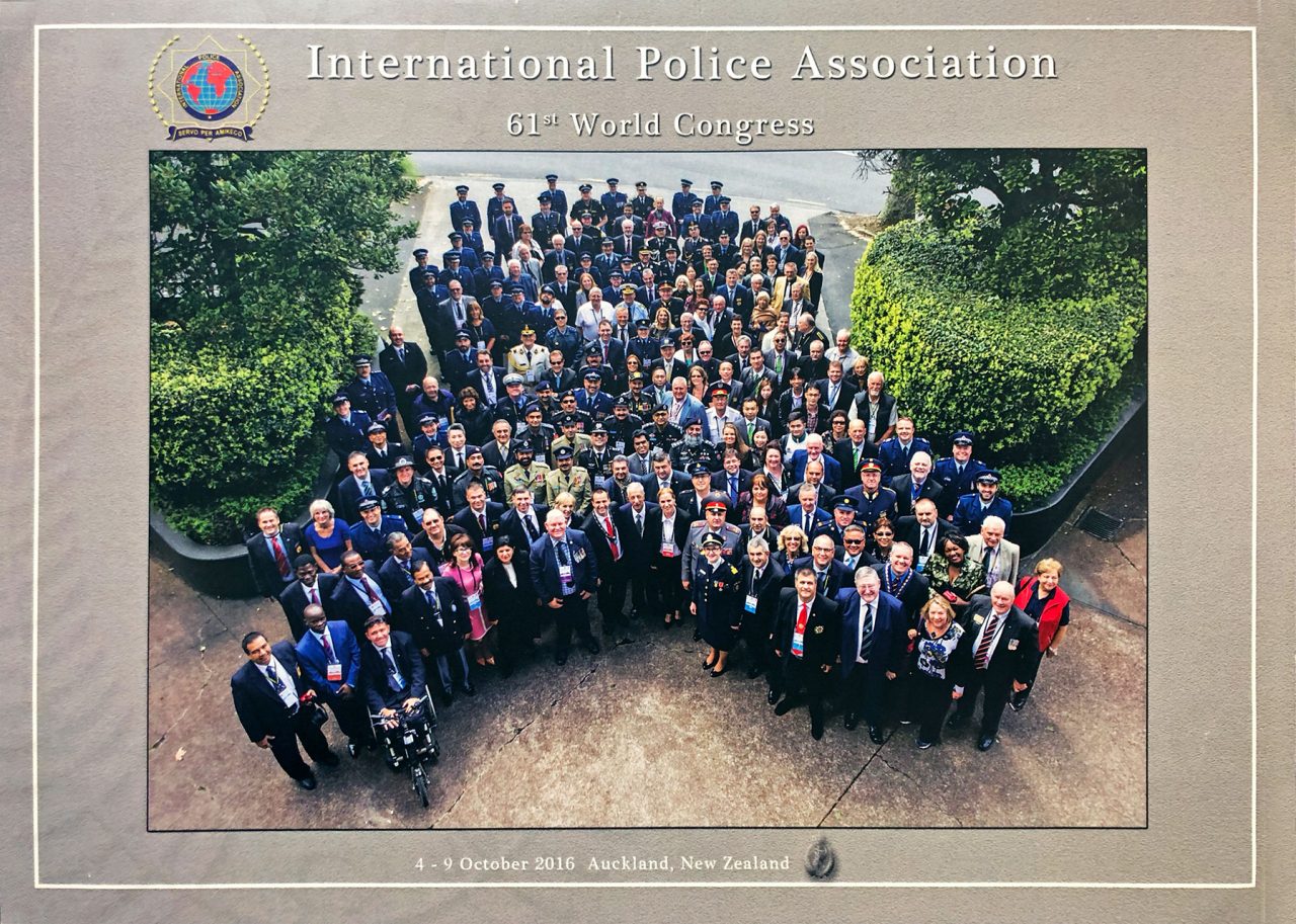 Servicios | IPA Colombia